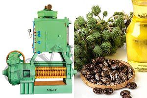 Castor Seed Oil Extraction Machine Manufacturers, Exporters in India